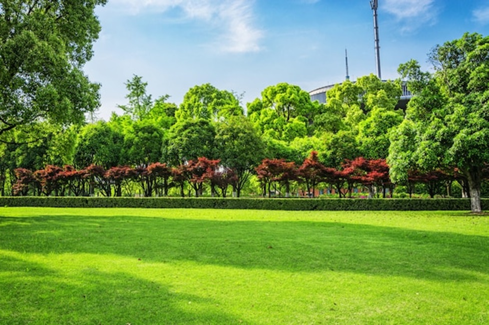 3 Best Things You Can Do for Your Lawn